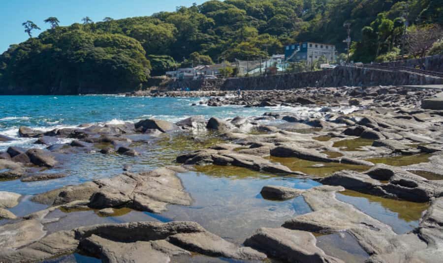 Tokyo: Gotemba Outlet Shopping Day Trip with Beer - Detailed Breakdown of the Experience