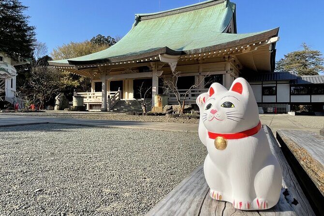 Tokyo: Gotokuji Temple and Shimokitazawa Day Tour - Final Thoughts