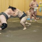 Tokyo: Grand Sumo Morning Training Tour - Practical Details & Considerations