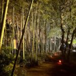 TOKYO: Guided Garden Tour with SP Dinner by E-bike -NIGHT - What Makes This Tour Special?