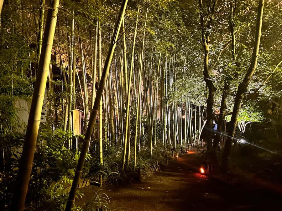 TOKYO: Guided Garden Tour with SP Dinner by E-bike -NIGHT - What Makes This Tour Special?