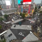 Tokyo Guided Tour: Omotesando, Takeshita dori, Meiji Jingu, and Shibuya - A Practical Introduction to Tokyo’s Contrasts