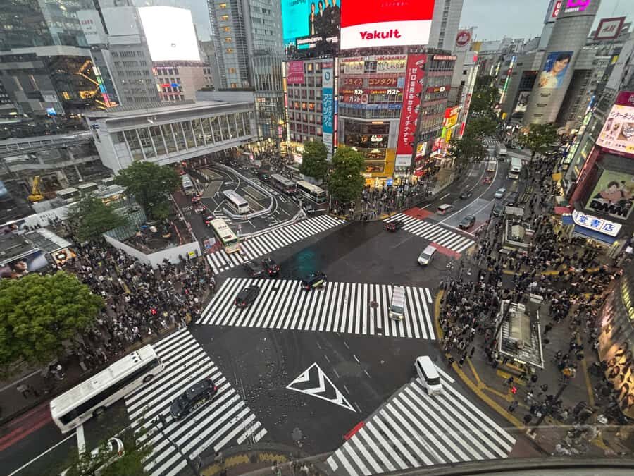 Tokyo Guided Tour: Omotesando, Takeshita dori, Meiji Jingu, and Shibuya - A Practical Introduction to Tokyo’s Contrasts