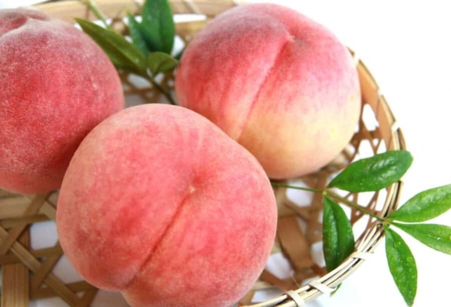 Tokyo: Gunma Scenic Day Trip with Fruit Picking, Crab Lunch - Who Would Love This Tour?