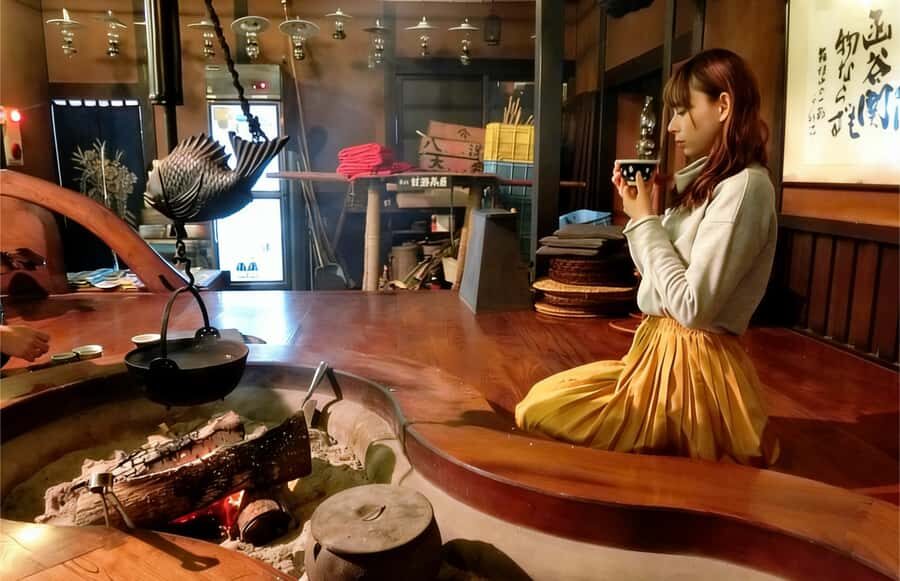 Tokyo: Hakone Day Tour With Teahouse Hearth, Cruise, Volcano - Who Should Consider This Tour