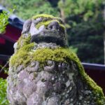 Tokyo: Hakone Full-Day Private Guided Tour with Pickup - Authentic Value and Practical Considerations