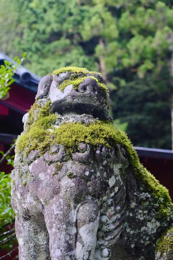 Tokyo: Hakone Full-Day Private Guided Tour with Pickup - Authentic Value and Practical Considerations