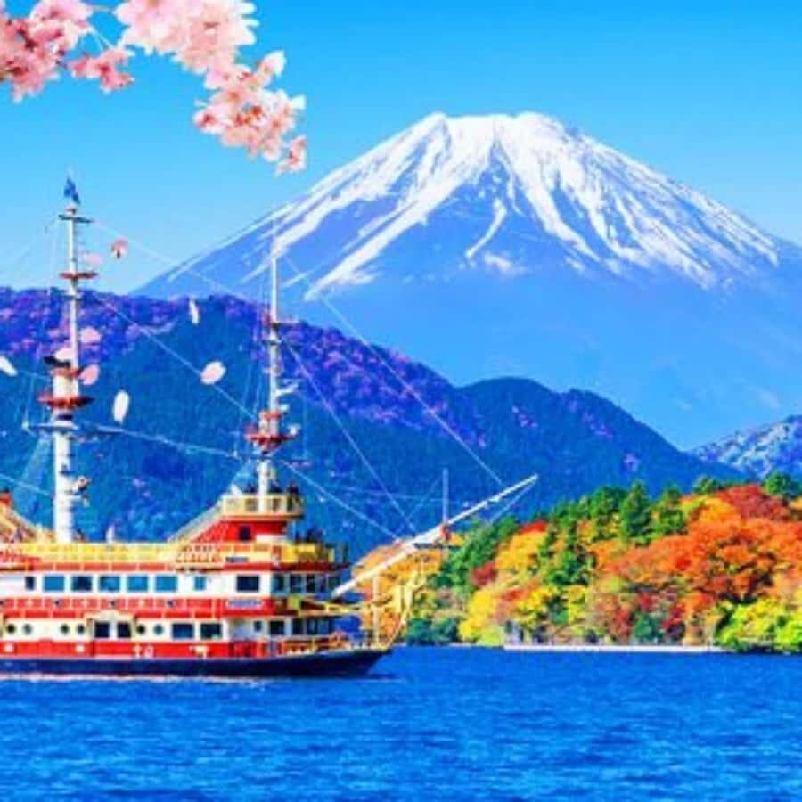 Tokyo, Hakone, Mt Fuji, and Nikko, 3 Day Private Tour - Practical Aspects of the Tour