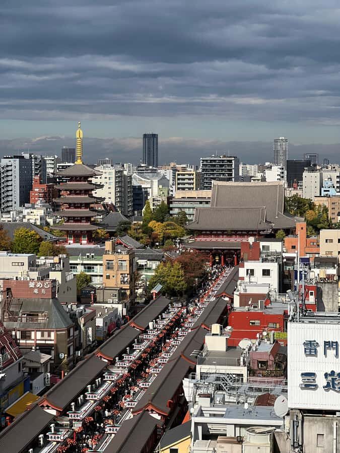 Tokyo: Halal-Friendly Walking Tour for Muslim Travelers - Who Would Love This Tour?