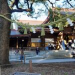 Tokyo Harajuku Meiji Shrine 1 Hour Explanation Tour - The Practicalities: What You Need to Know