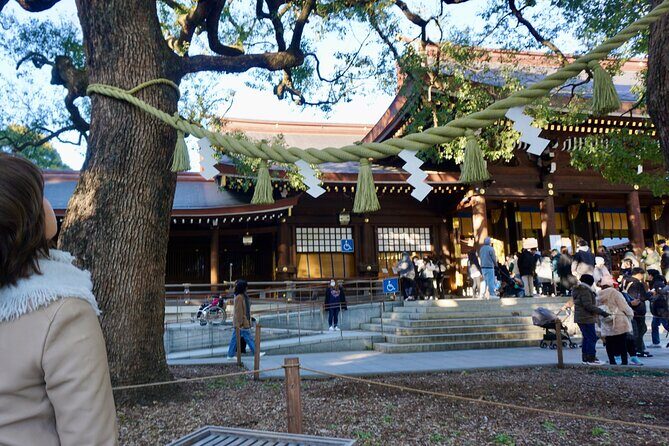 Tokyo Harajuku Meiji Shrine 1 Hour Explanation Tour - The Practicalities: What You Need to Know