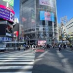 Tokyo: Harajuku, Meiji Shrine, Yoyogi Park & Roppongi Sunset - What It All Adds Up To