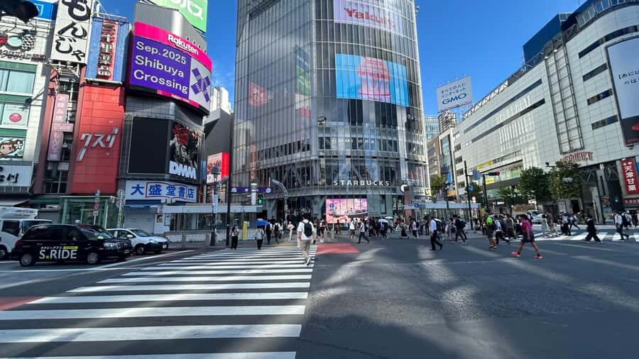 Tokyo: Harajuku, Meiji Shrine, Yoyogi Park & Roppongi Sunset - What It All Adds Up To