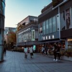 Tokyo Harajuku Walking Tour Meiji Jingu Yoyogi Park and More - The Practical Side: What You Should Know