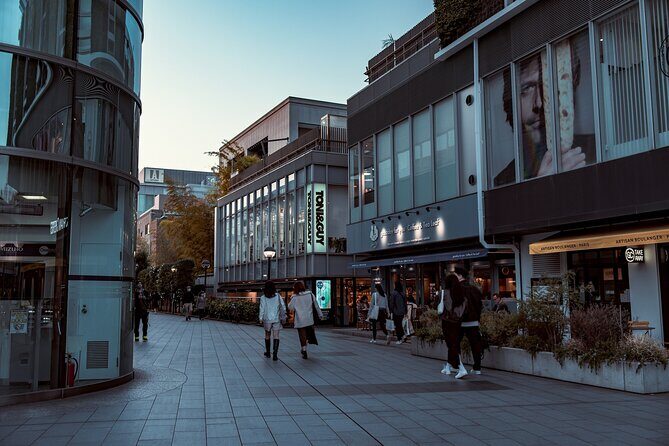 Tokyo Harajuku Walking Tour Meiji Jingu Yoyogi Park and More - The Practical Side: What You Should Know