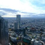 Tokyo Highlights Guided Walking Tour Part 2 - Who Should Book This Tour?