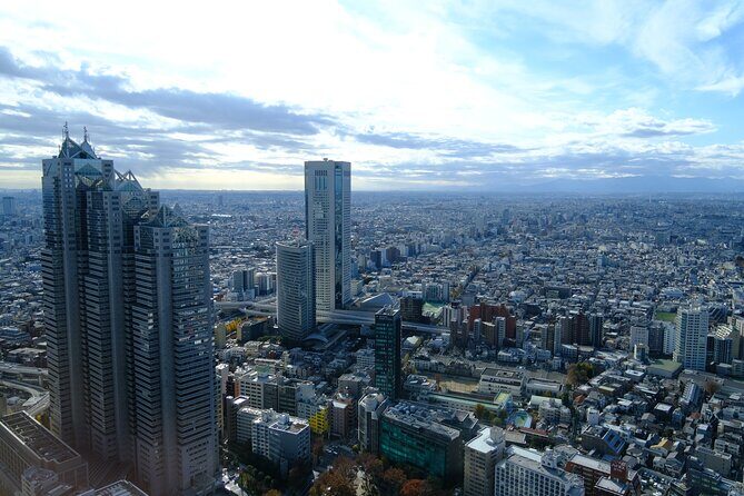 Tokyo Highlights Guided Walking Tour Part 2 - Who Should Book This Tour?