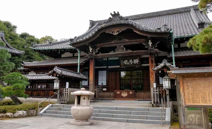 Tokyo Highlights Private Tour: Market, Temples & Skyline Day - What Travelers Say