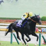 Tokyo: Horse Racing Experience with Local Fan - Is It Worth the Price?