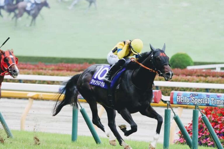 Tokyo: Horse Racing Experience with Local Fan - Is It Worth the Price?