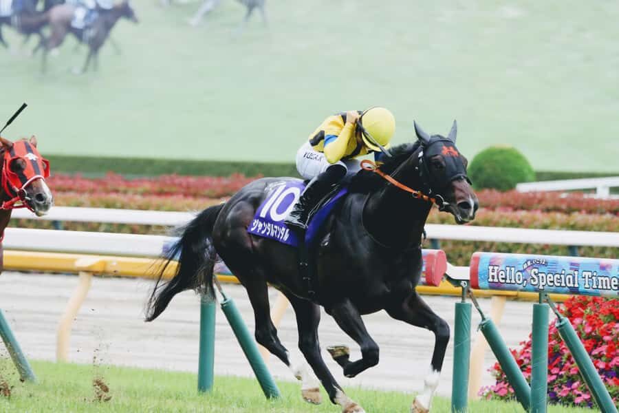 Tokyo: Horse Racing Experience with Local Fan - Is It Worth the Price?