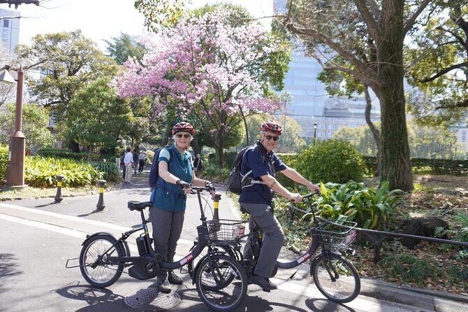 Tokyo Imperial Palace 2h Private E-bike at your pace. - Logistics & Practicalities: What to Expect