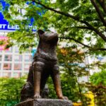 Tokyo in a Day: Meiji Shrine, Shibuya, and Shinjuku - Exploring Tokyo in a Day: The Practical Breakdown