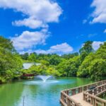 Tokyo: Inokashira Park and Zoo Guided Walking Tour - Exploring Benzaiten Shrine: A Spiritual Pause