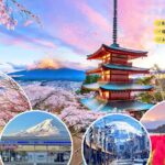 Tokyo Instagram Worthy Mt Fuji and Lake Kawaguchiko Day Trip - Who Will Benefit Most from This Tour?