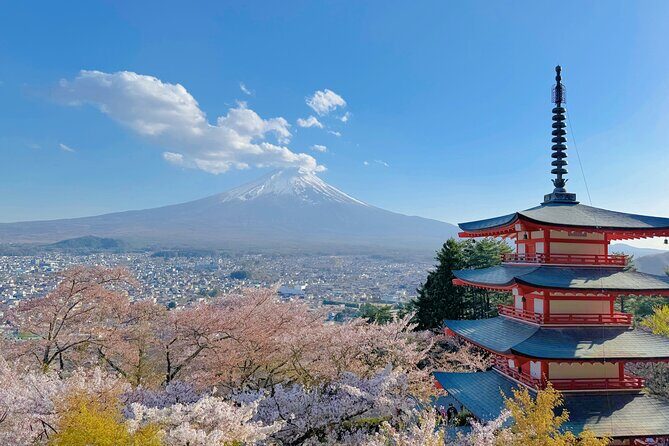Tokyo: Instagram-Worthy Mt Fuji & Lake Kawaguchiko Day Trip - The Itinerary: A Deep Dive