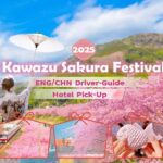 Tokyo: Izu Scenic Train, Kawazu Cherry Blossom & HotelPickup - Practical Details and Tips