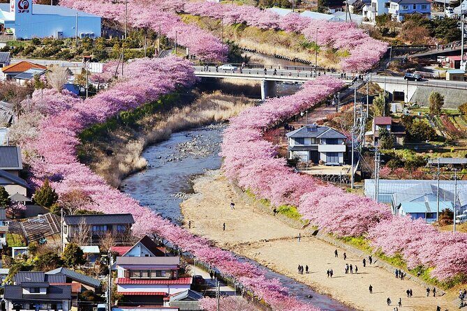 Tokyo-Izu: Volcano, Ocean& Capybara Cuddle with Izu Scenic Train - What Travelers Will Love