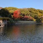 Tokyo: Japanese Garden Tour, Panoramic Train, and Odaiba Bay - Who’s This Tour Best For?