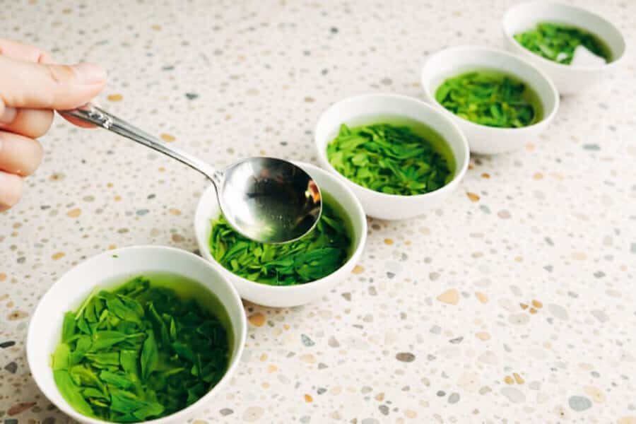 Tokyo: Japanese Green Tea Tasting Experience - A Closer Look at the Itinerary