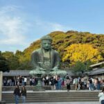 Tokyo: Kamakura and Yokohama Private Car Tour - An In-Depth Look at the Tour Experience