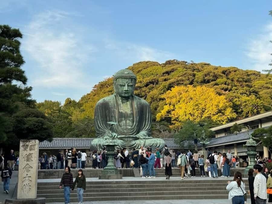 Tokyo: Kamakura and Yokohama Private Car Tour - An In-Depth Look at the Tour Experience