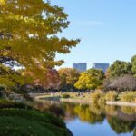Tokyo: Kitanomaru Park Autumn Leaves Stroll - What Makes Kitanomaru Park Special?