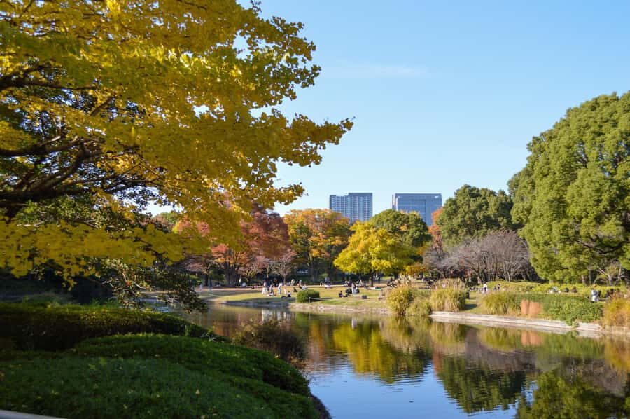 Tokyo: Kitanomaru Park Autumn Leaves Stroll - What Makes Kitanomaru Park Special?