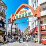 Tokyo: Koenji Vintage Shops, Street Art & Indie Culture Tour - What to Expect on the Tour