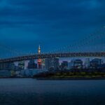 Tokyo Made Easy | Private Chauffeur Day Adventure | Car and Guide - Authentic, Personalized Comfort