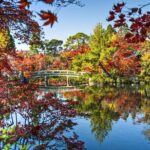 Tokyo Market Skyline and City Guided Tour for Kids and Families - Exploring the Itinerary in Detail