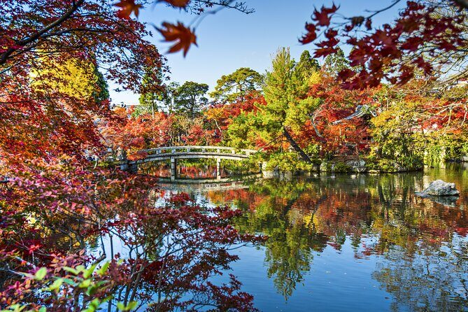 Tokyo Market Skyline and City Guided Tour for Kids and Families - Exploring the Itinerary in Detail
