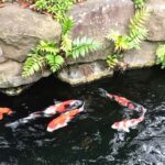 Tokyo: Master Asakusa Temple Etiquette, Food & Photo Walk - The Itinerary