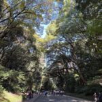 Tokyo: Meiji Jingu Shrine, Forest & Imperial Garden - In-Depth Breakdown of the Experience