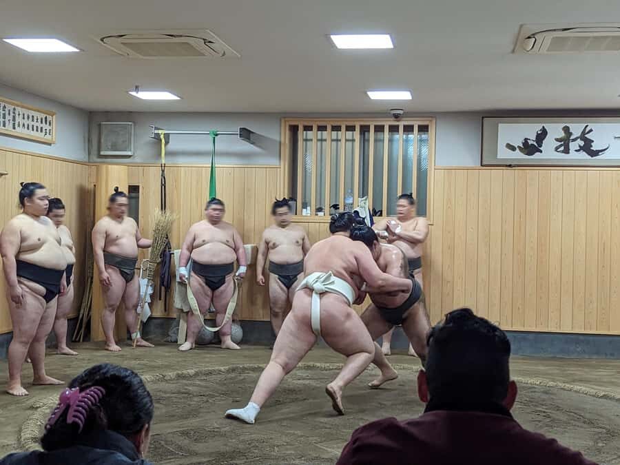Tokyo: Morning Sumo Practice Viewing - The Experience From Our Viewpoint