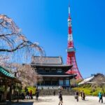 Tokyo Morning Tour Meiji Shrine, Asakusa and Local temple - Practical Details and Value