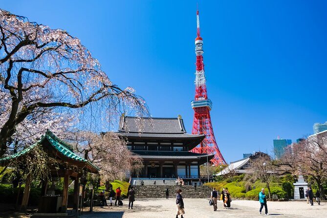 Tokyo Morning Tour Meiji Shrine, Asakusa and Local temple - Practical Details and Value