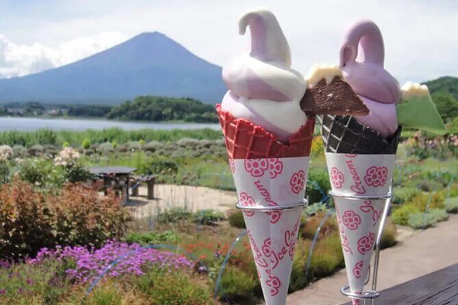 Tokyo Mount Fuji and Hakone Private Day Tour - Price and Value Analysis