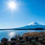 Tokyo: Mount Fuji, Chureito Pagoda Private Tour Customizable - How the Itinerary Works in Practice