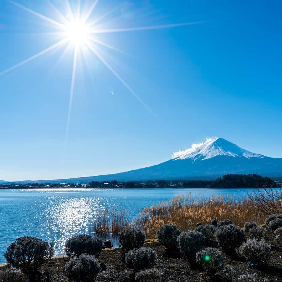 Tokyo: Mount Fuji, Chureito Pagoda Private Tour Customizable - How the Itinerary Works in Practice